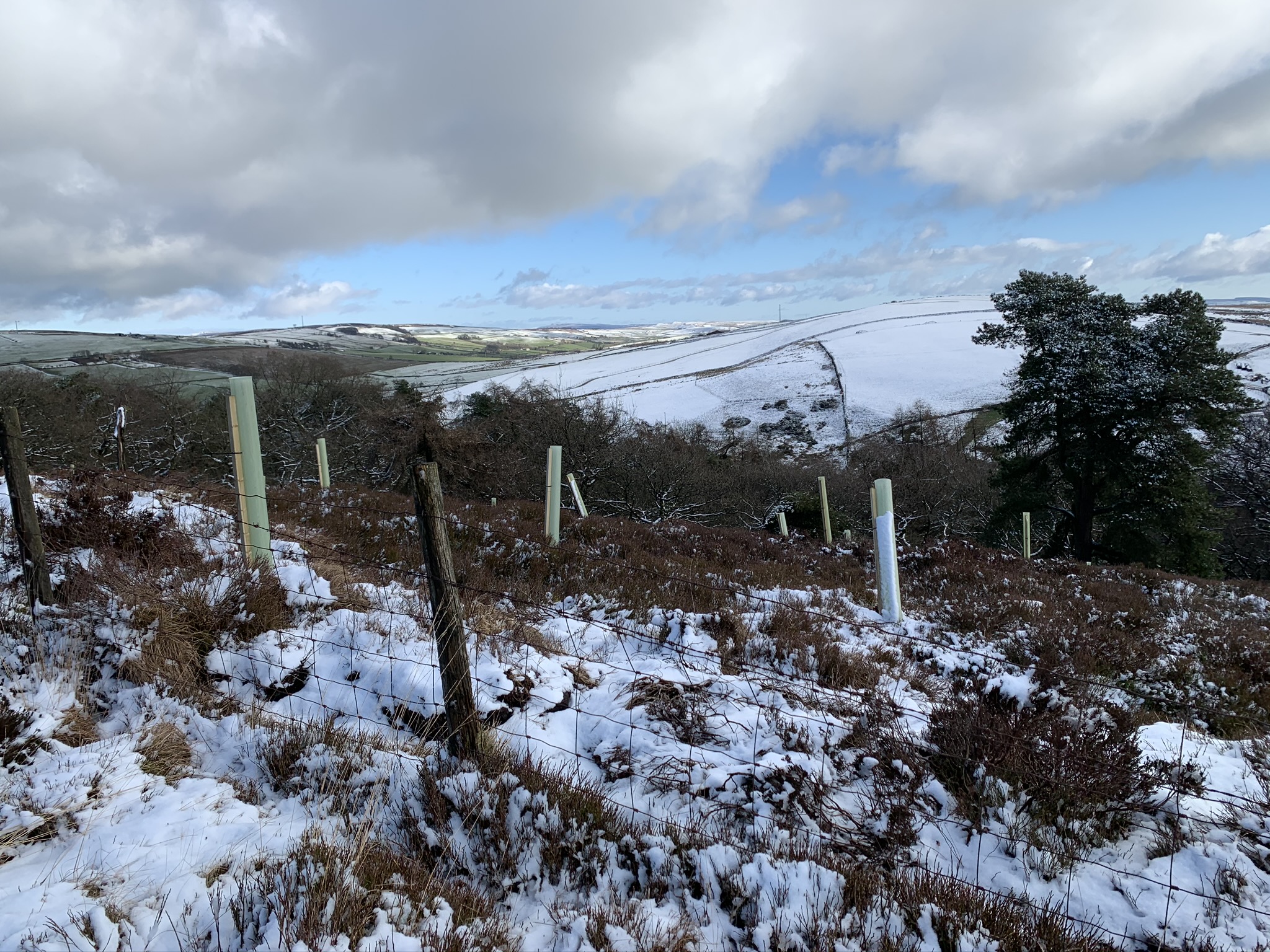 Ground Contact: the line in Pendle, February 2020 – The Common Line